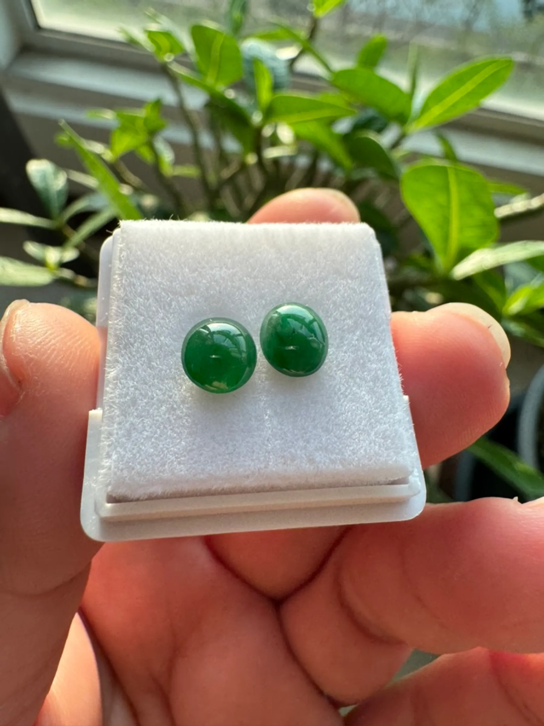 Beautiful Shade Type A Jadeite Jade Stones - pair